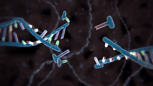 Abundance Insider June 17 Edition